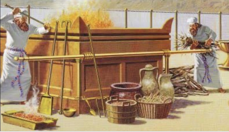 Las Ofrendas de Israel: La Ofrenda Por el Pecado (Parte 3) – Gracia Más ...